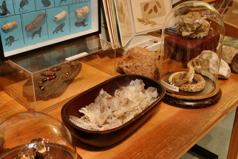 The Austin Nature & Science Center | Inside NanaBread's Head