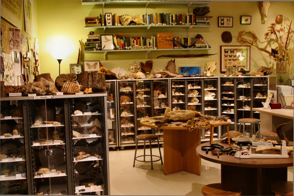 The Austin Nature & Science Center | Inside NanaBread's Head